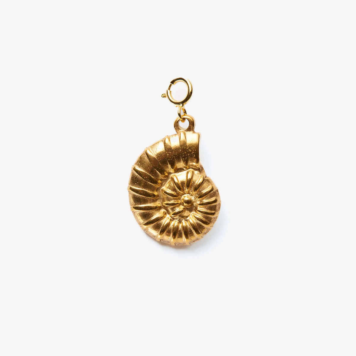 Conch Charm – SUKORO